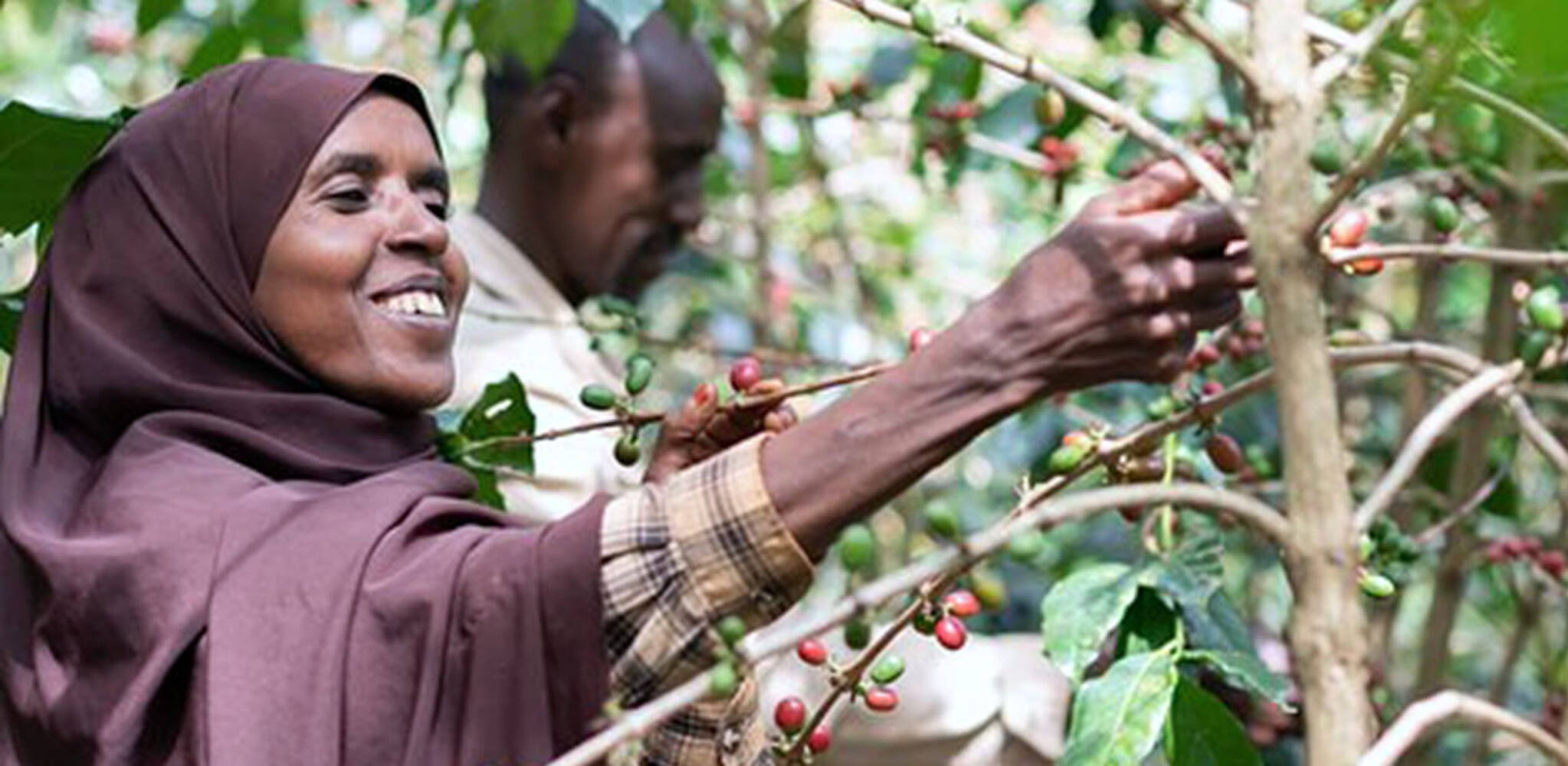 Kaffee- und Bienenprodukt­produzenten verbessern ihre Lebensbedingungen ...